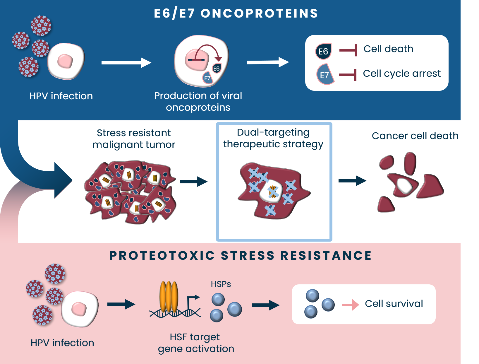 Dual-targeting therapeutic strategy